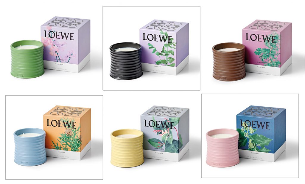 Loewe 首个植物香氛系列, 散发出家居独特气味。 - Iconicmen